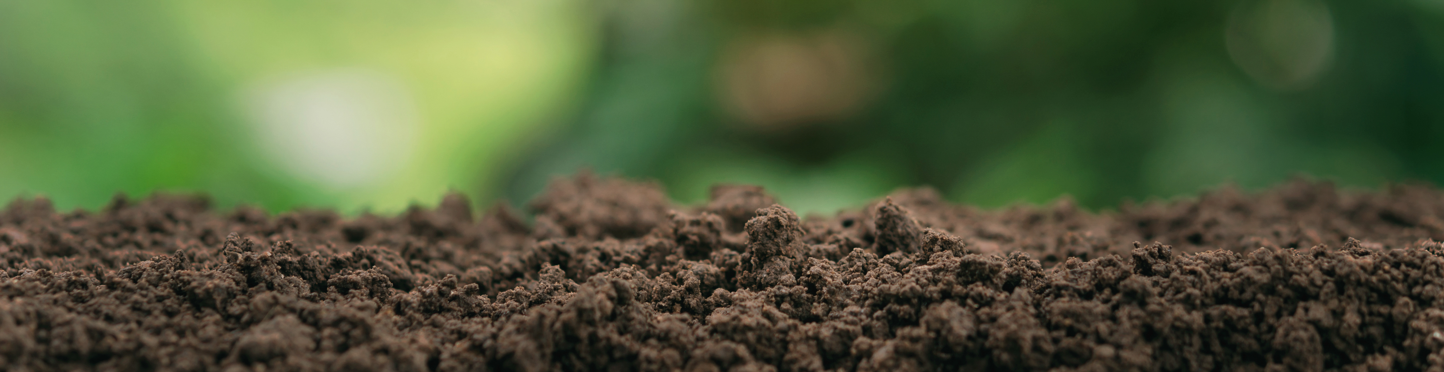 soil for planting with green blur and sunlight background – Enrich